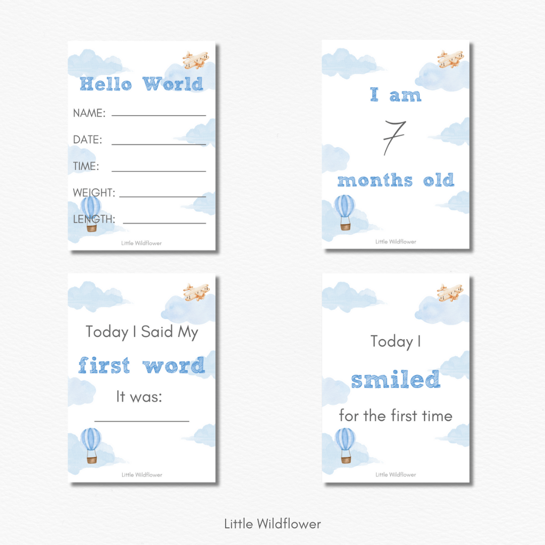 Hot Air Balloon Milestone Cards – Little Wildflower South Africa
